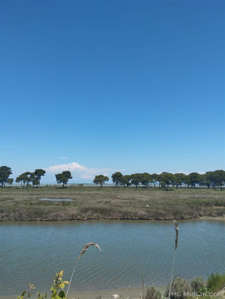 TOKE PER SHITJE BUZE RRUGE ... në Durrës | Truall / Toke | MirLir.com